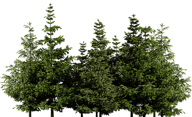 Jean Berg Obituary (1938 - 2025) - Edna, Kansas